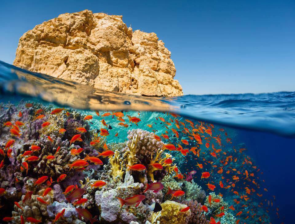 Sharm-El-Sheikh